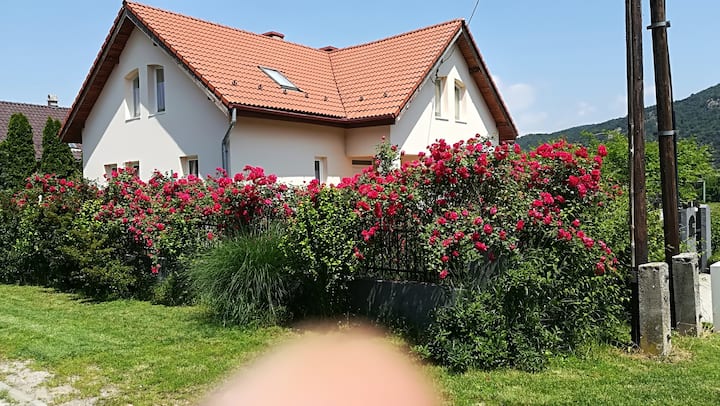 Villavölgy Vendégház - Szentendre