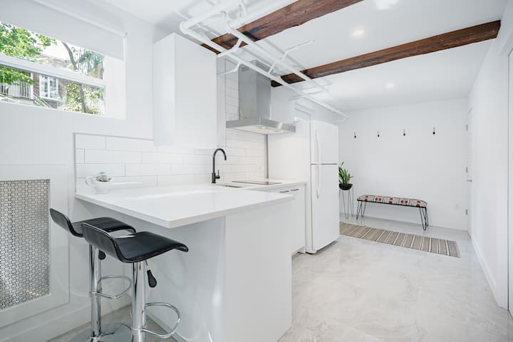 Bright Brand New Montreal Studio - 蒙特婁