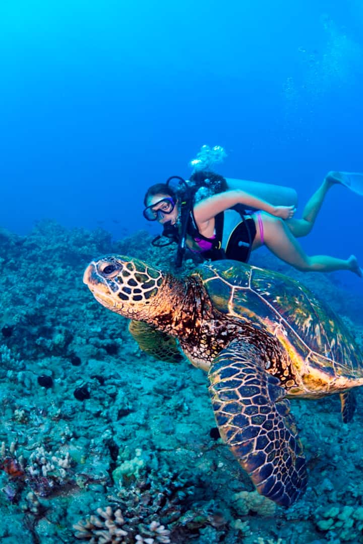 Last Minute Best Deal , Best Special Of The Year - Lihue, HI
