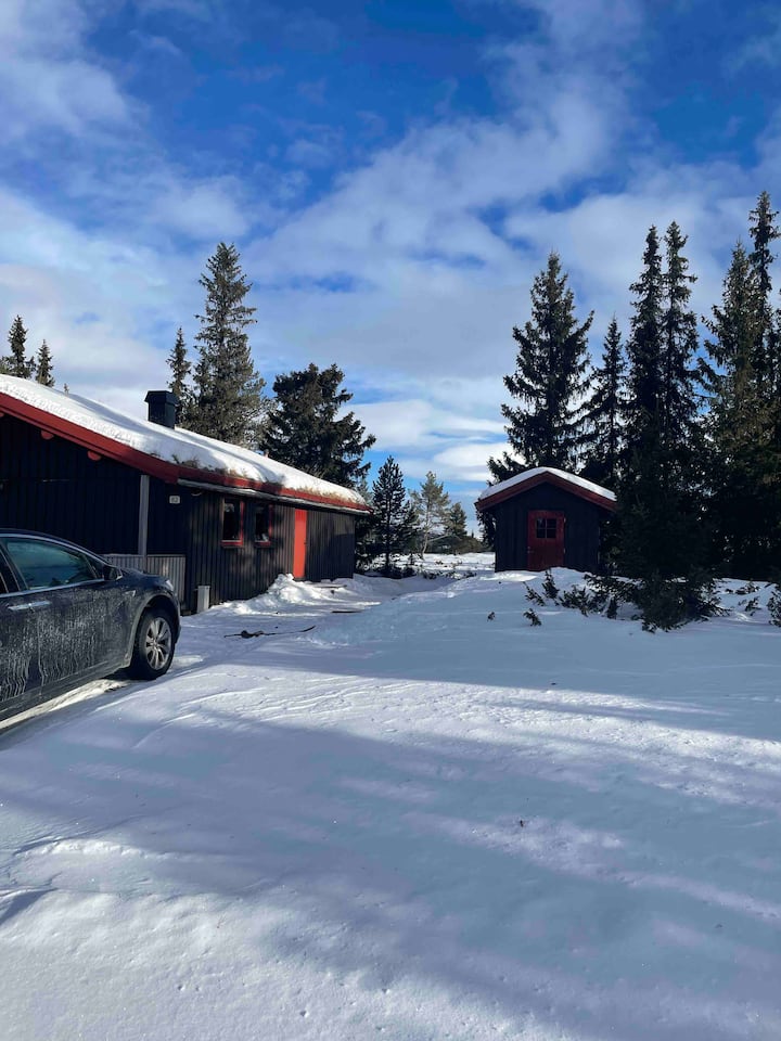 Trivelig Hytte På Fjellet, Sykkel- Og Turterreng. - Kvam