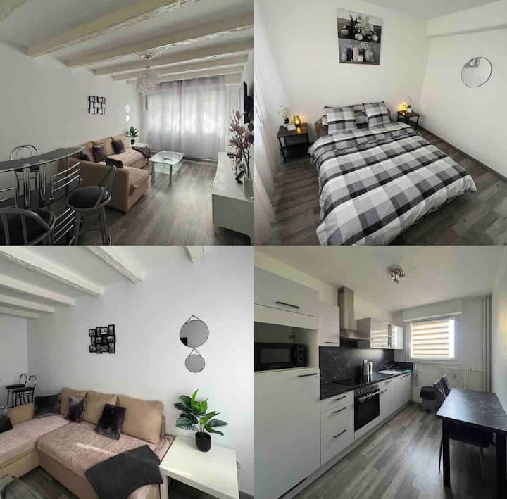 Premium Apartment Basel Airport - Basel