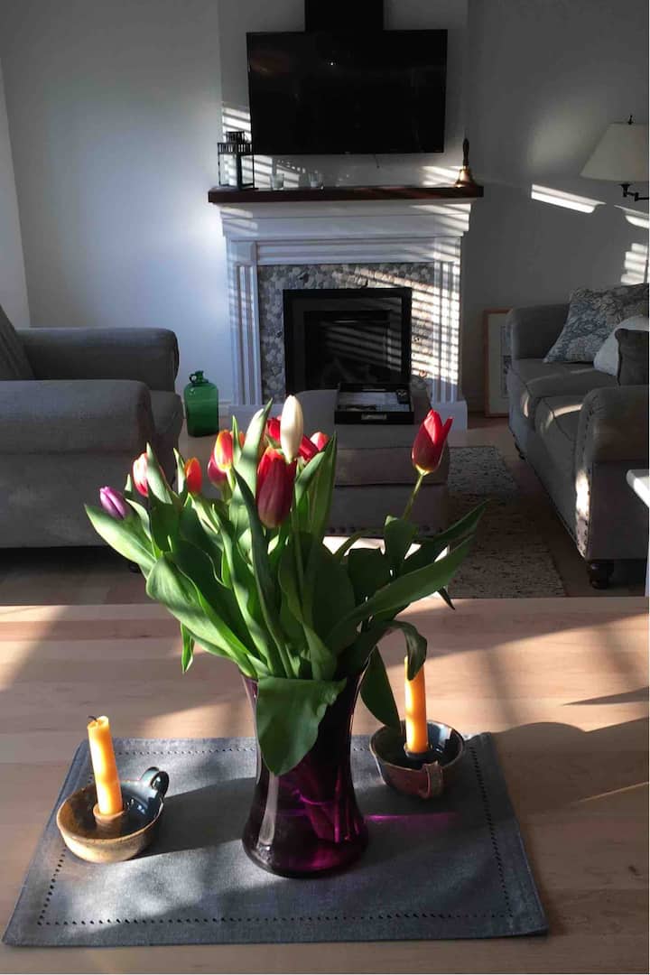 Kaikoura Cottage  - In The Heart Of Mahone Bay - Nova Scotia