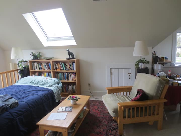 Light-filled Studio Apt. Near Smith - Northampton, MA