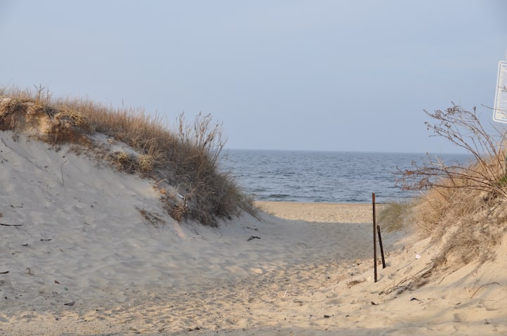 Dolphin Watch - Norfolk, VA