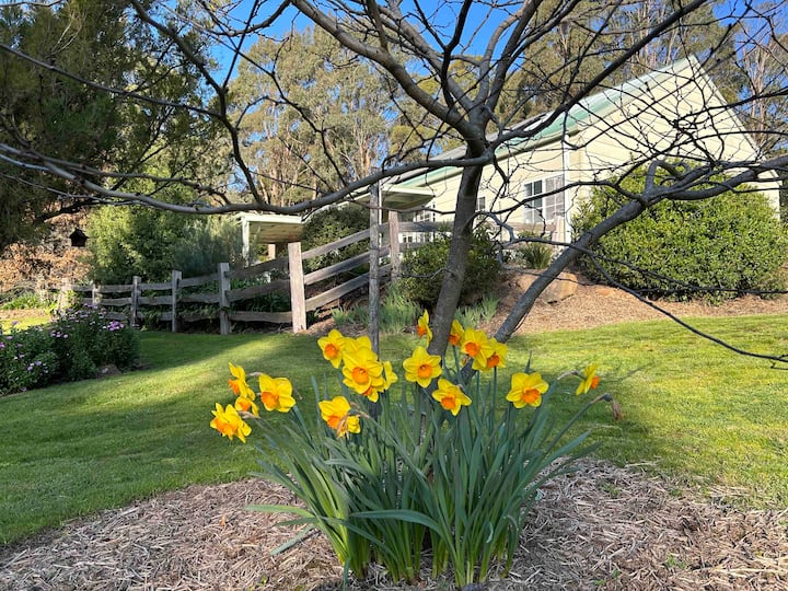 Birdsnest, Garden Cottage Nestled In Tamar Valley - Tasmania