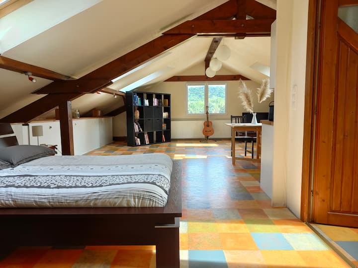 Loft à La Campagne Près De Mulhouse - Altkirch