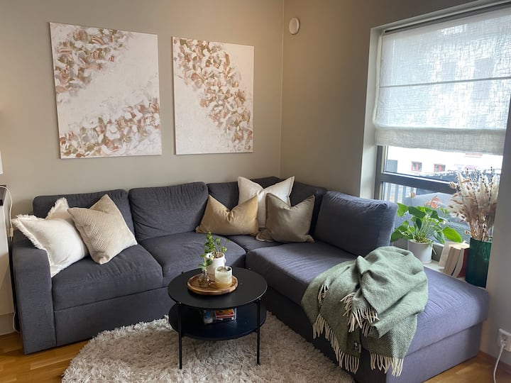 Cozy Apartment Located At Beautiful Torshov, Oslo - Oslo