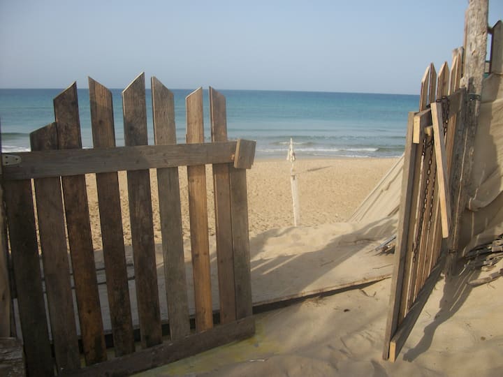 Your Holiday On Carratois Beach
Cir19089014c227396 - Italien