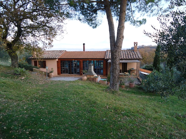 Poderino Degli Ulivi - Scansano - Magliano in Toscana