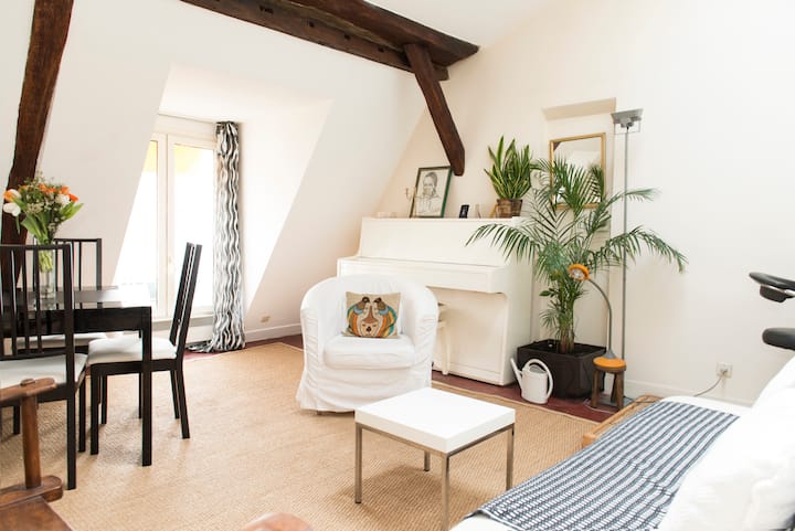 Au Calme Sous Les Toits De Paris - Paris