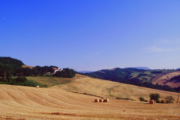Frassino Appartamento Indipendente - Urbino