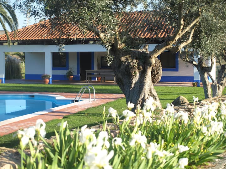 Charming Family Refuge In Alentejo - Arraiolos