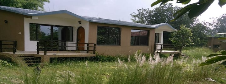 Bananchal Farms. The White Tiger Safari. - Bandhavgarh National Park