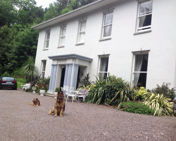 Georgian House With Two Beds, Parking - Cork