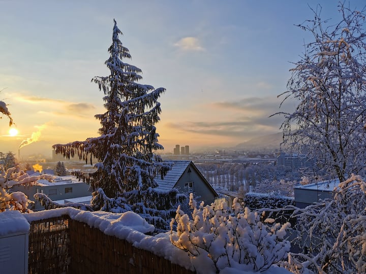 Sunny, Quite, Central. Close To University Eth - Zurique