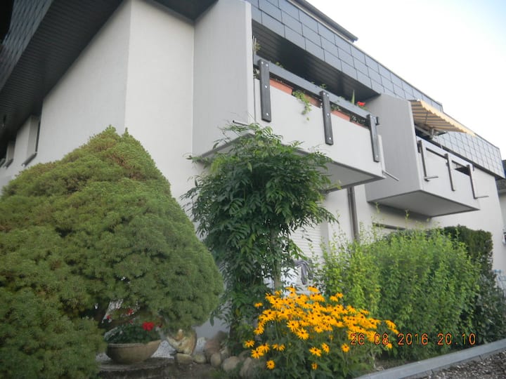 Appartement En Forêt-noire 300m D'altitude. - Offenburg