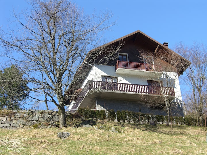 Grand Chalet De Famille Dominant La Vallée - La Bresse