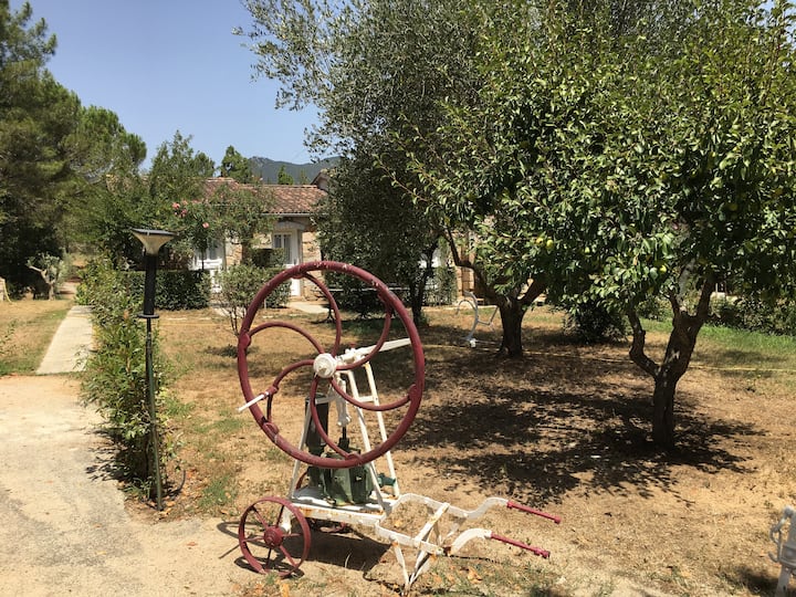 À Tinedda Location Entre Sartène Et Propriano - Sartène