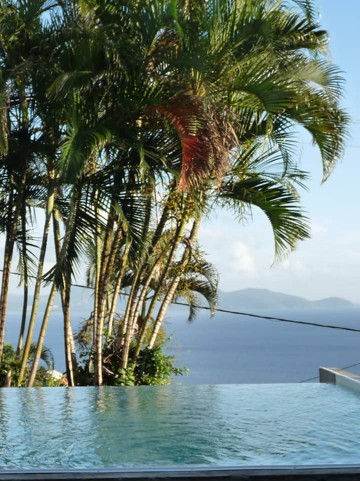 Villa La Caraibe - Martinique