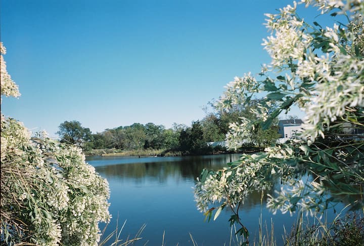 Waterfront Nature Sanctuary Work&family Friendly - Portsmouth, VA