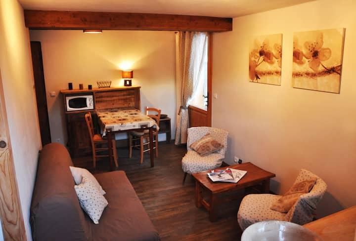 Bel Appartement Chalet Rez De Jardin 32m² - Courchevel