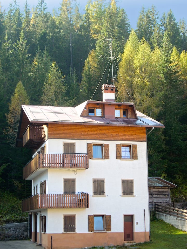 Pampanìn: A Cozy Apartment In Padola - Dolomites - Santo Stefano di Cadore
