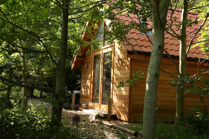 Woodland Tiny House By Magical Stone Circle Valley - Norfolk