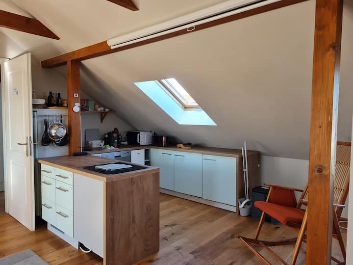 Loft Mit Wohnzimmer, Terrasse + Tollem Ausblick - Dresde