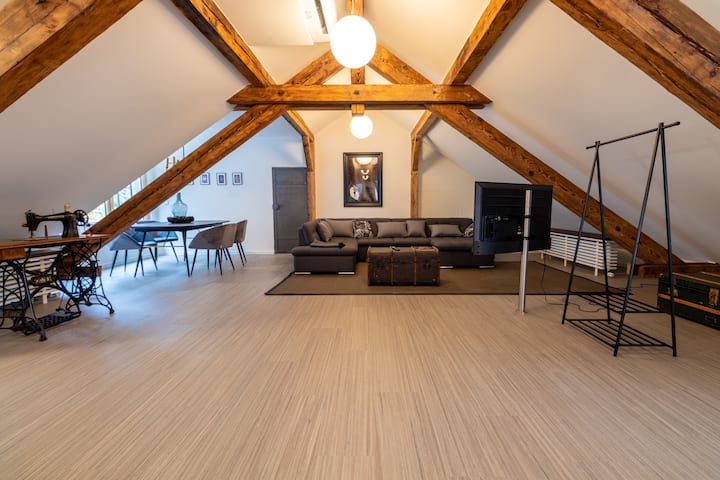 Large Spacious Apartment - Wifi, Free Parking, Ac - Baden-Baden