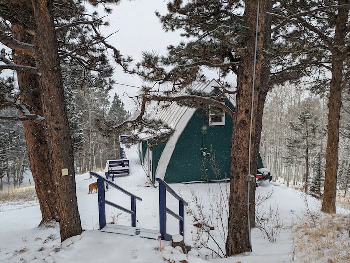 Quaint Woodland Cottage - Cripple Creek, CO