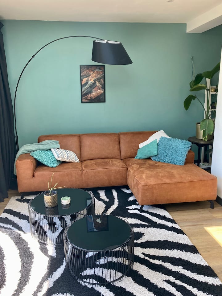 Ruime Woning Nabij Centrum, Stadspark En Station - Groningen