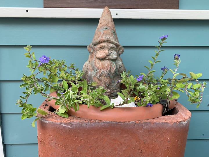 Oxford Oaks - A Cozy Heights Guesthouse - Houston, TX