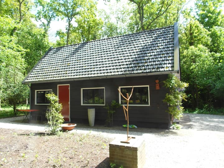 Heerlijk Vrijstaand Duinhuisje - Haarlem