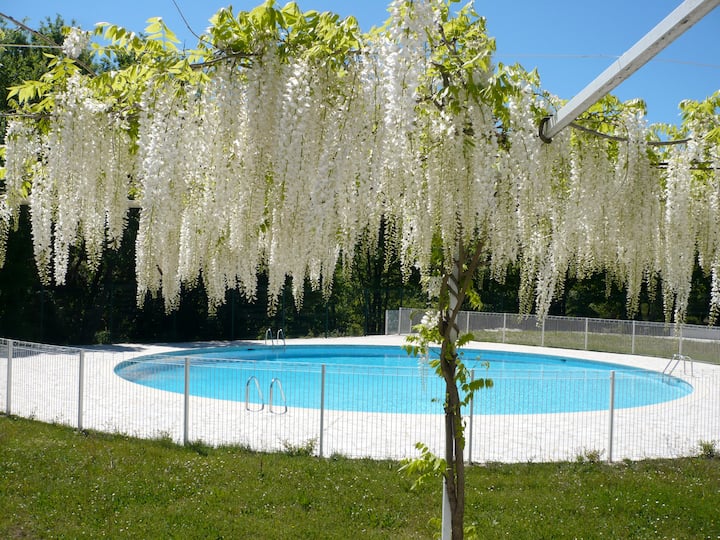 Studio Climatisé Dans Résidence Avec Piscine - Valbonne