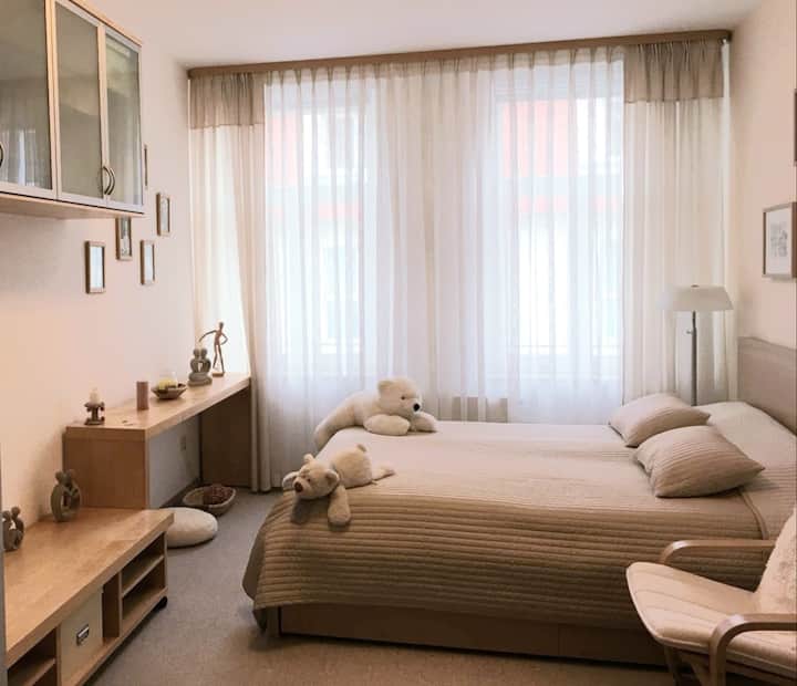 Lovely 1br Flat Close To Center - Leipzig