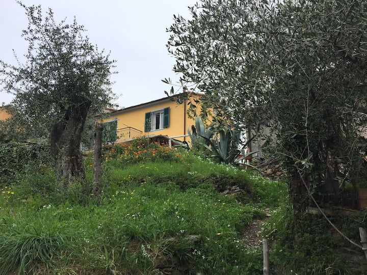 Casa Su Due Livelli Immersa Nella Natura Ligure - Moneglia