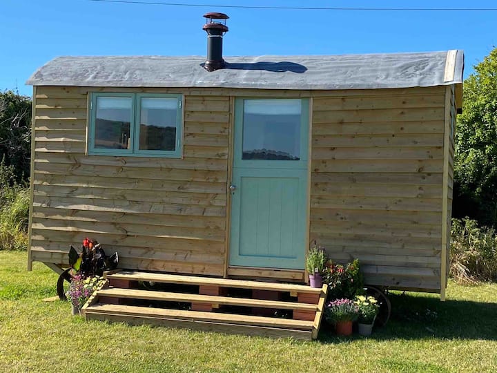 Carbis Bay Glamping A Shepherds Hut With A View. - Carbis Bay
