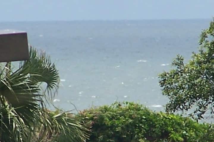 Oceanview Condo -Overlooks Pool/100 Yards To Beach - Hilton Head Island, SC
