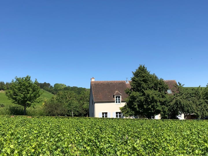 La Maison Pichon 
Au Coeur Des Vignes Vue Sancerre - Sancerre