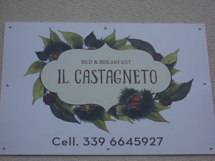 Il Castagneto - Alloggio Affitto Breve - Lake Como