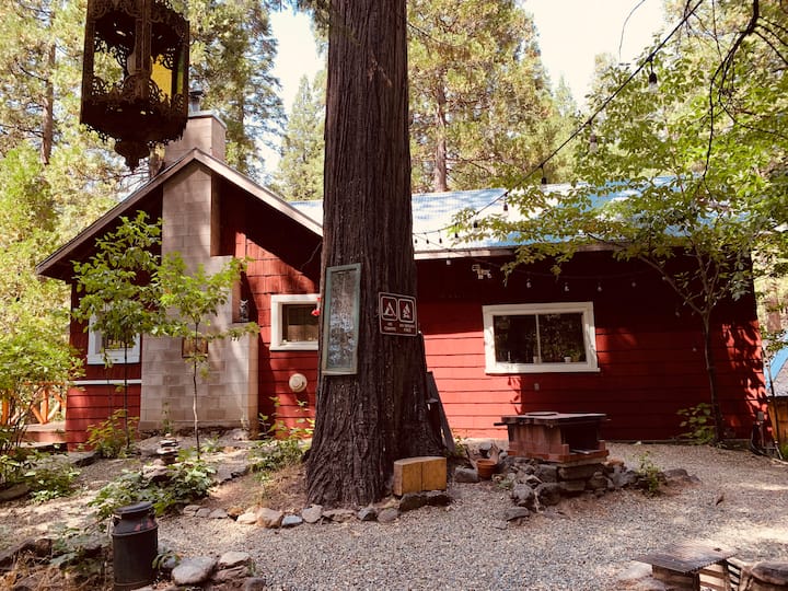 Hummingbird Hill - Fish Camp, CA