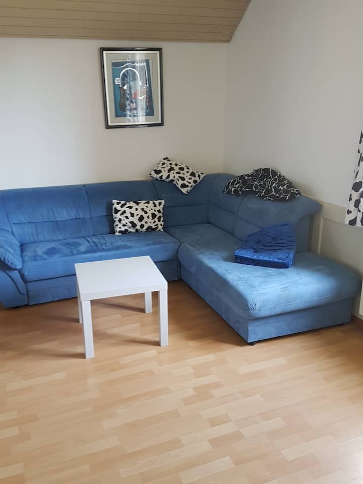 Room In Our Bnb With Wifi And Tv - Aarau