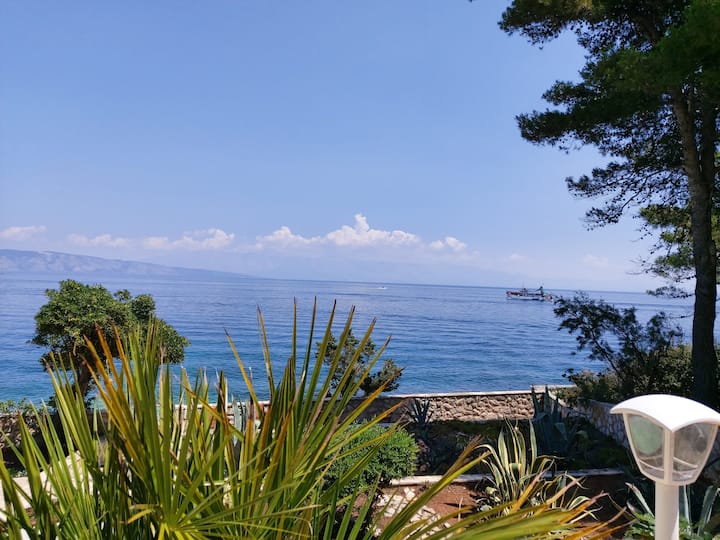 Villa Hana Apartment Nr. 2- Best Position In Jelsa - Jelsa