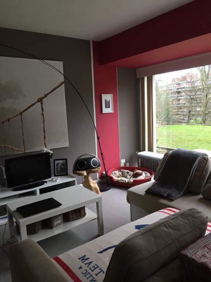 Studio Verdoyant Et Lumineux, Proche Centre. - Liège