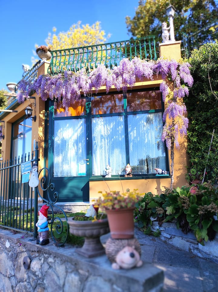Veranda Ortensia Villa Liberty It013222c2873h57tc - Comer See