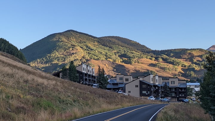 Mtn Sunrise: Hot Tub, Garage, Shuttle Stop, Views! - Crested Butte, CO