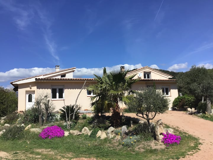 L Ipomée Sauvage Classée 3* - Figari