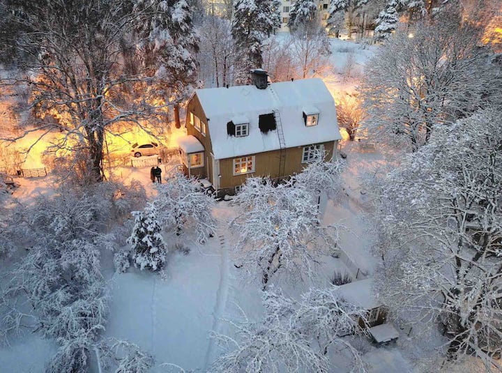 Unique Studio With Sauna In Charming Puu-käpylä - Helsinki