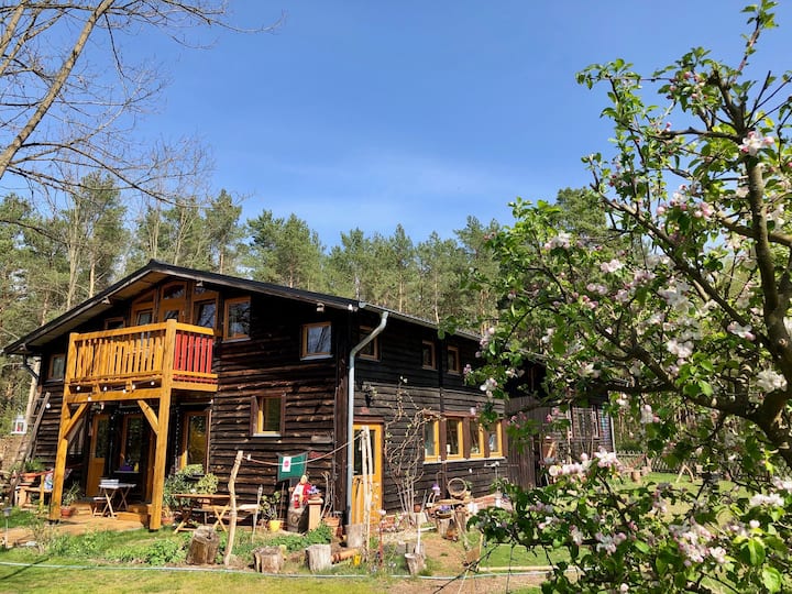 Waldparadies Borkheide-übernachtung In Der Scheune - Beelitz