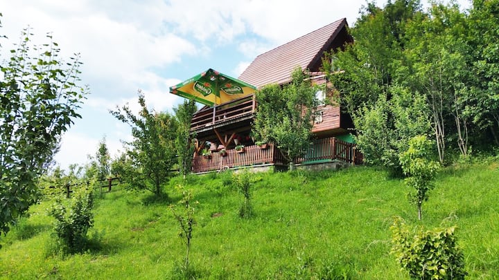 Cabana  Moldovan - Sighişoara